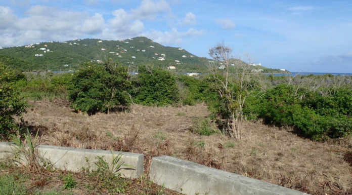 National Park Service Makes Progress Repopulating Native Plants | St ...