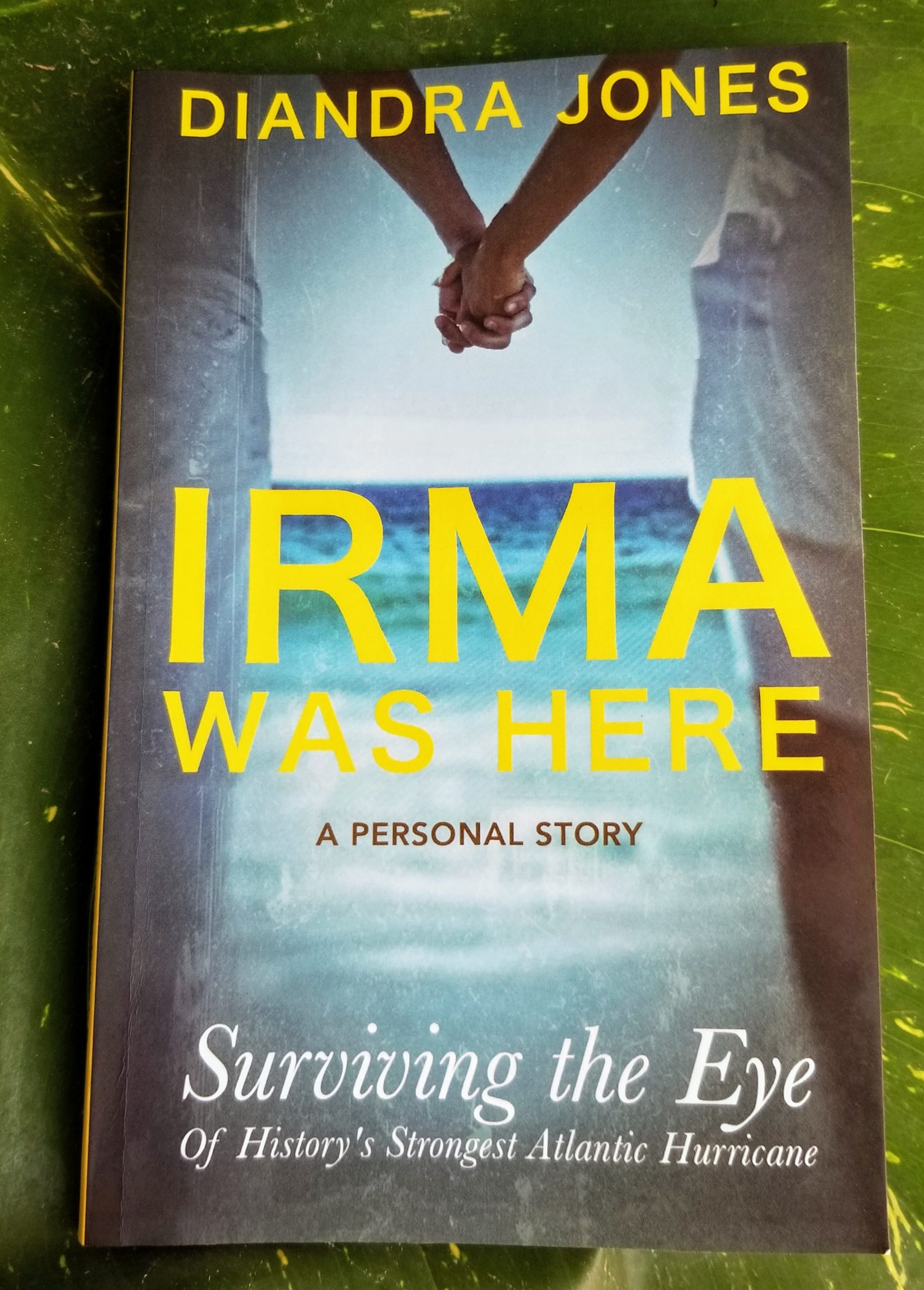 Author of ‘Irma Was Here’ Warns of Climate Change | St. Thomas Source