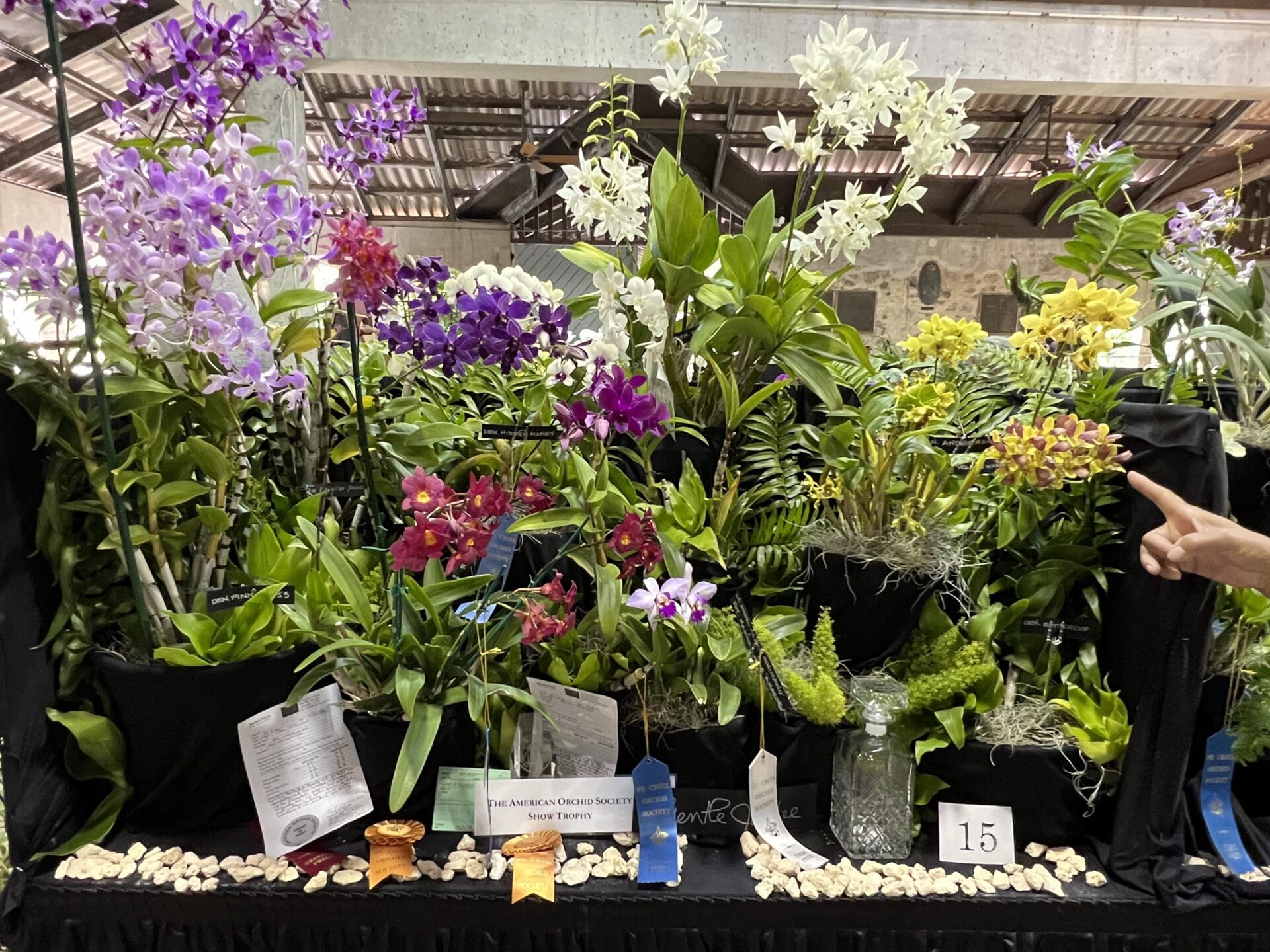 The St. Croix Orchid Society Presents the 50th Annual Orchid Show and ...