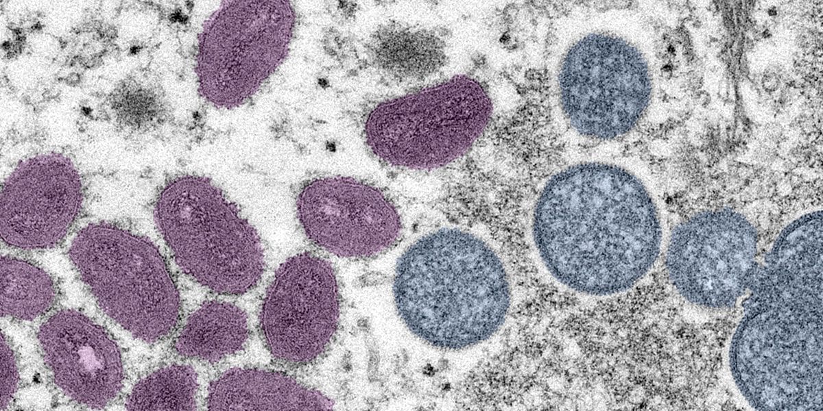 DOH Initiates Territorial Monkeypox Vaccination Program for At-Risk ...