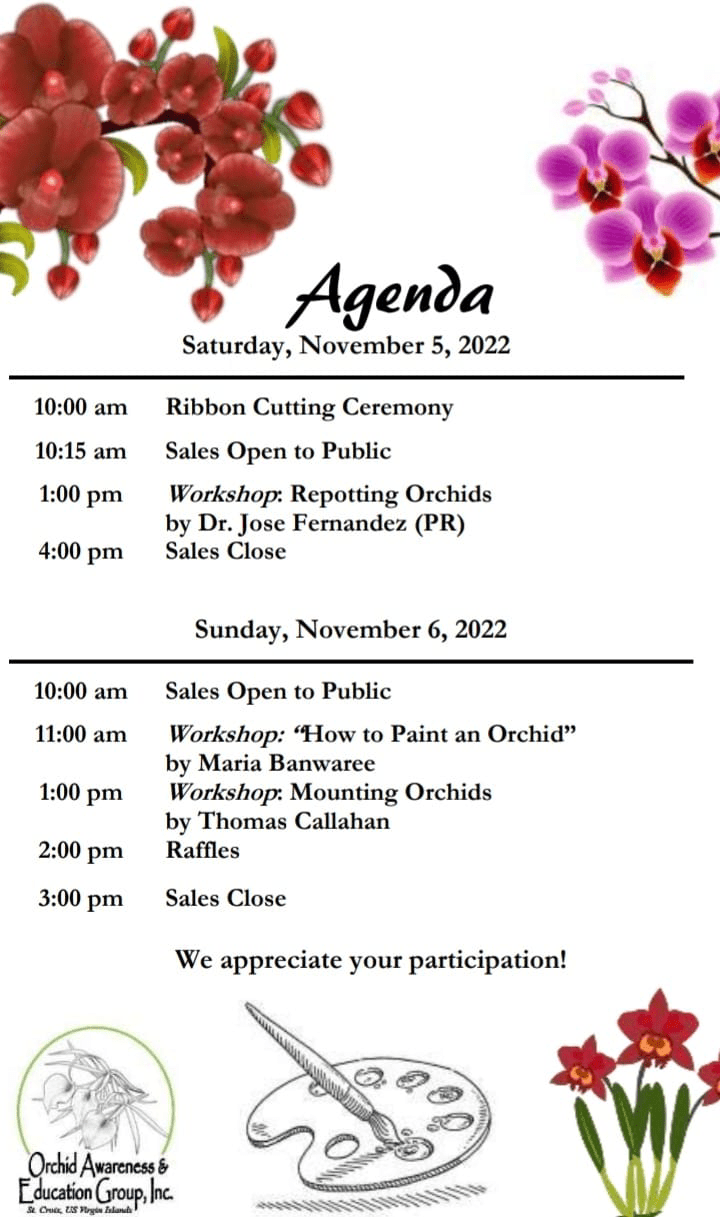 Orchid Lovers Invited to the First-Ever Orchid Palette Show | St ...