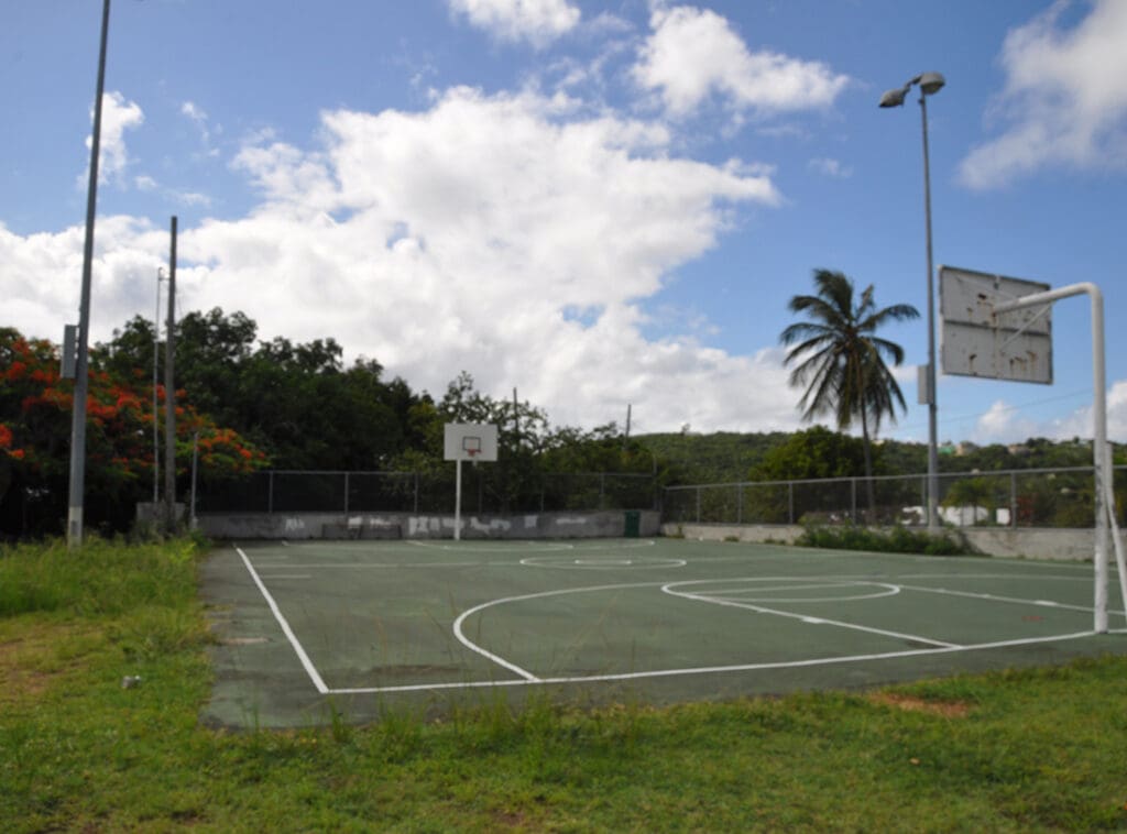 Virgin Islander Milt Newton Brings Basketball Greatness to NBA and USVI ...