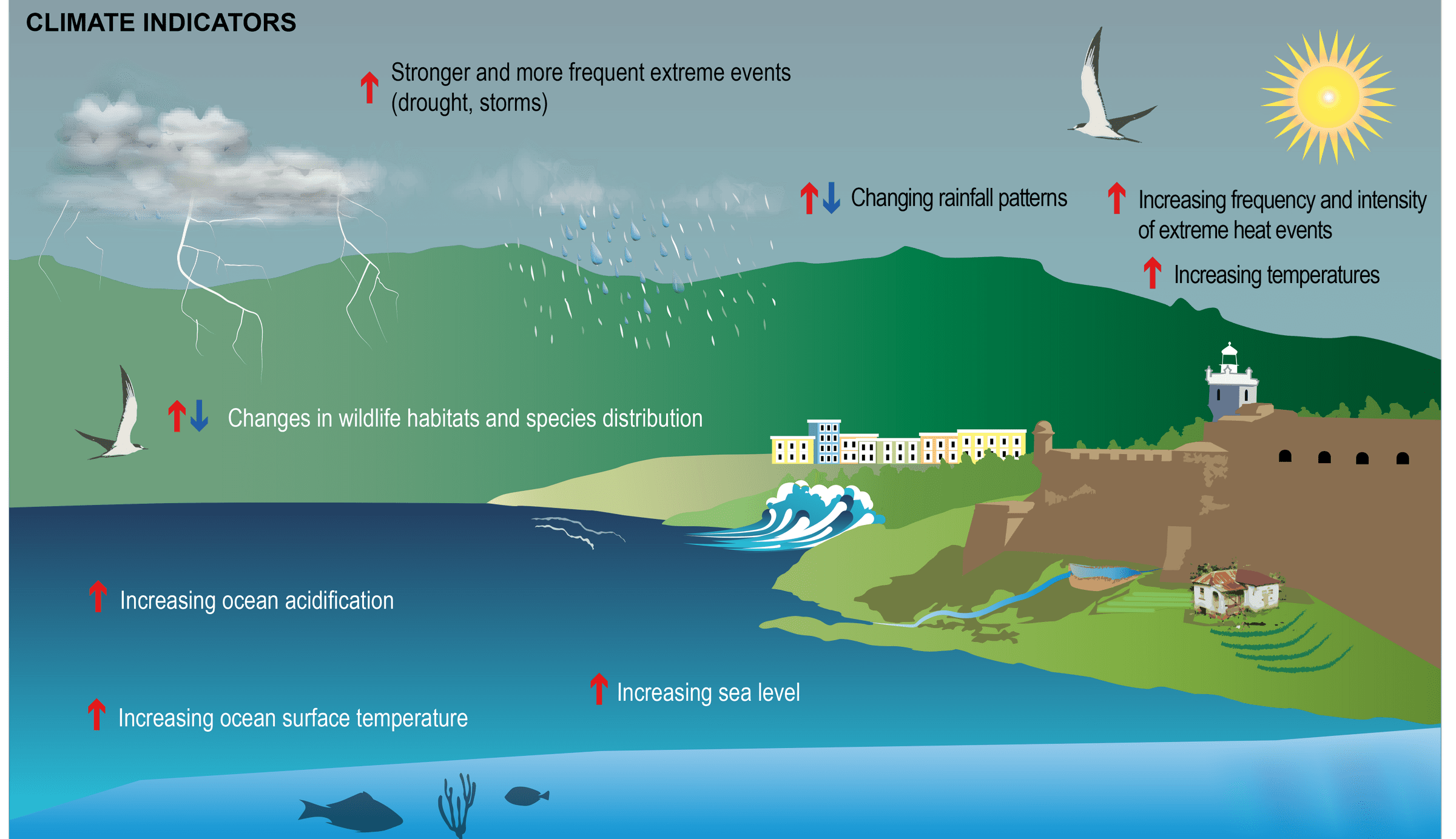 Caribbean Nations Join Global Action for Climate Solutions Through ...