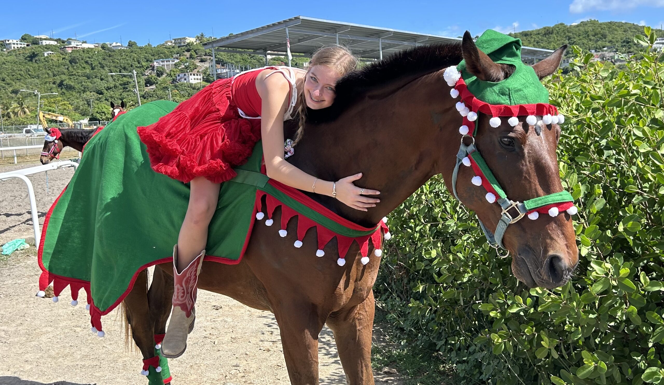 Triple H Ranch Hosting Christmas Eve Fundraiser for Horse Rescue ...