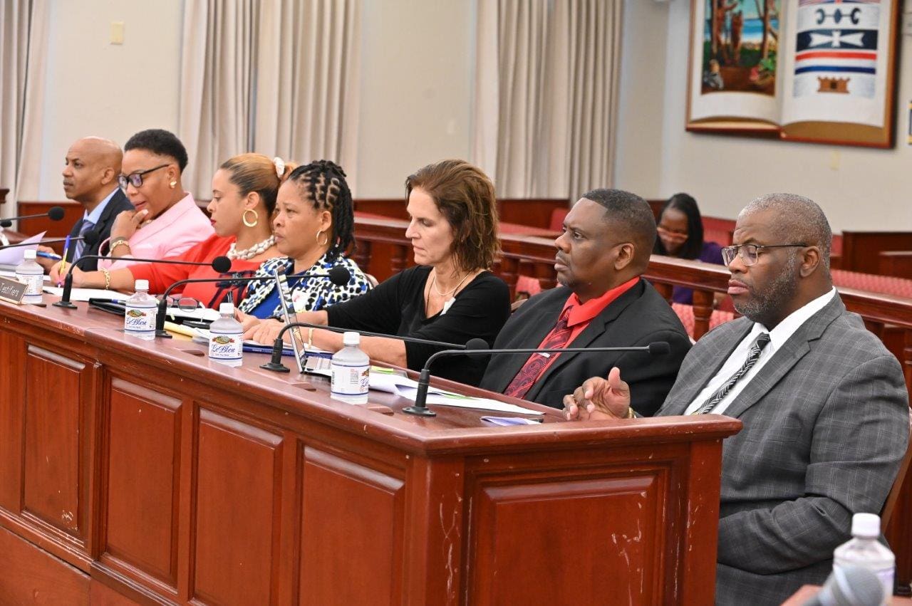 Senate Told Mental Healthcare is still in “Crisis” | St. Thomas Source
