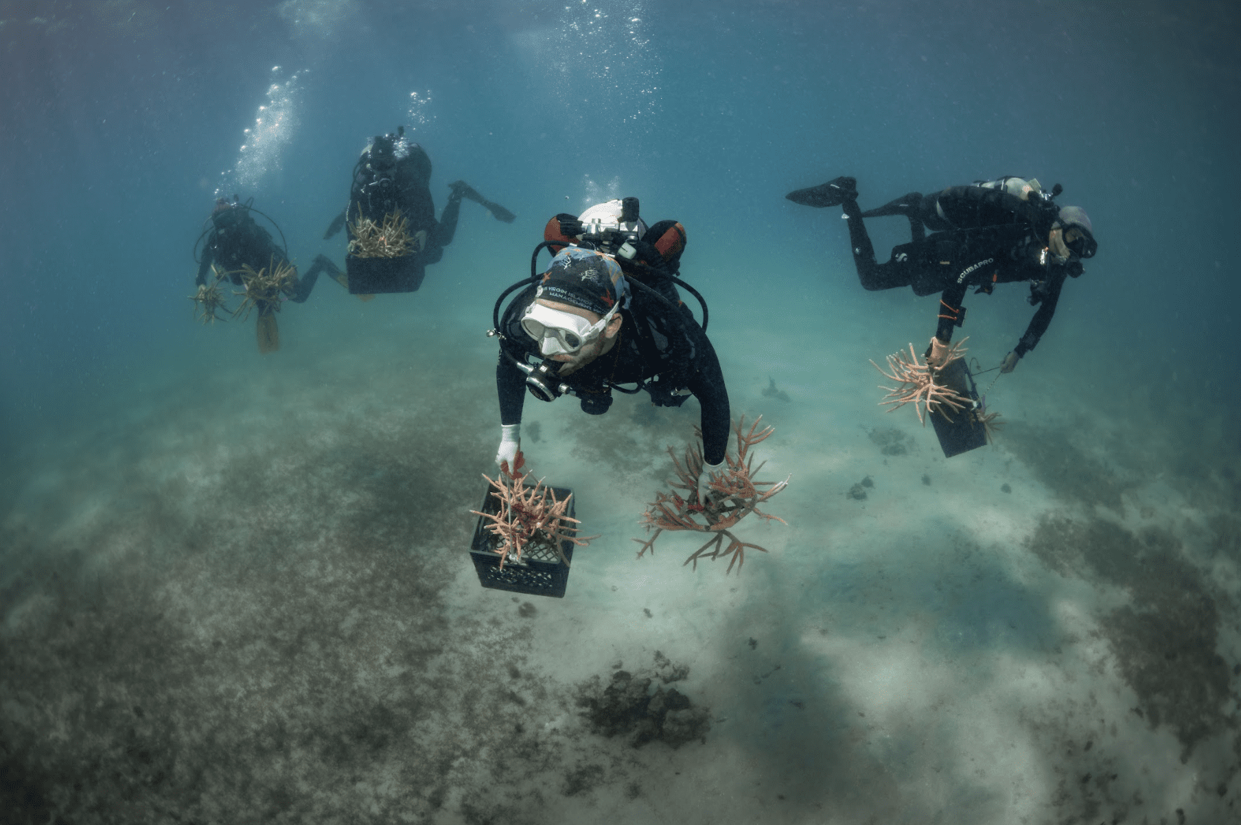UVI Offers New Graduate Degree in Marine & Environmental Science, Seeks ...