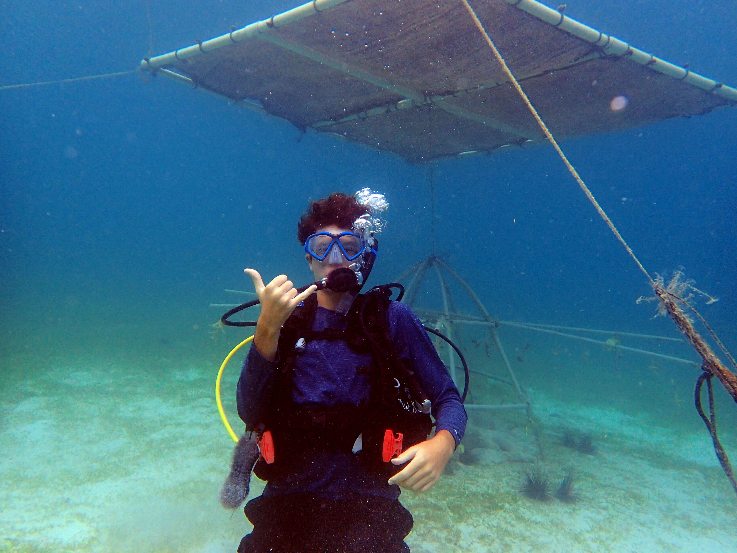 Divers Battle Lionfish This Weekend at STTJ Lionfish Derby | St. Thomas ...