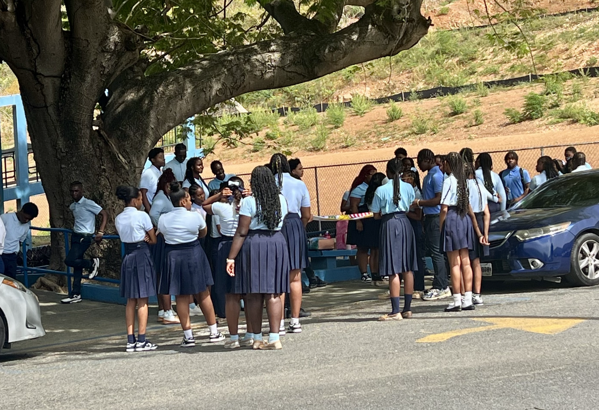 New School Year Opens on St. Thomas-St. John to Mixed Reviews | St ...