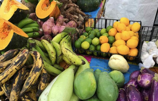 Local Food and Farm Council Expands Access to Free Grant Workshops | St ...