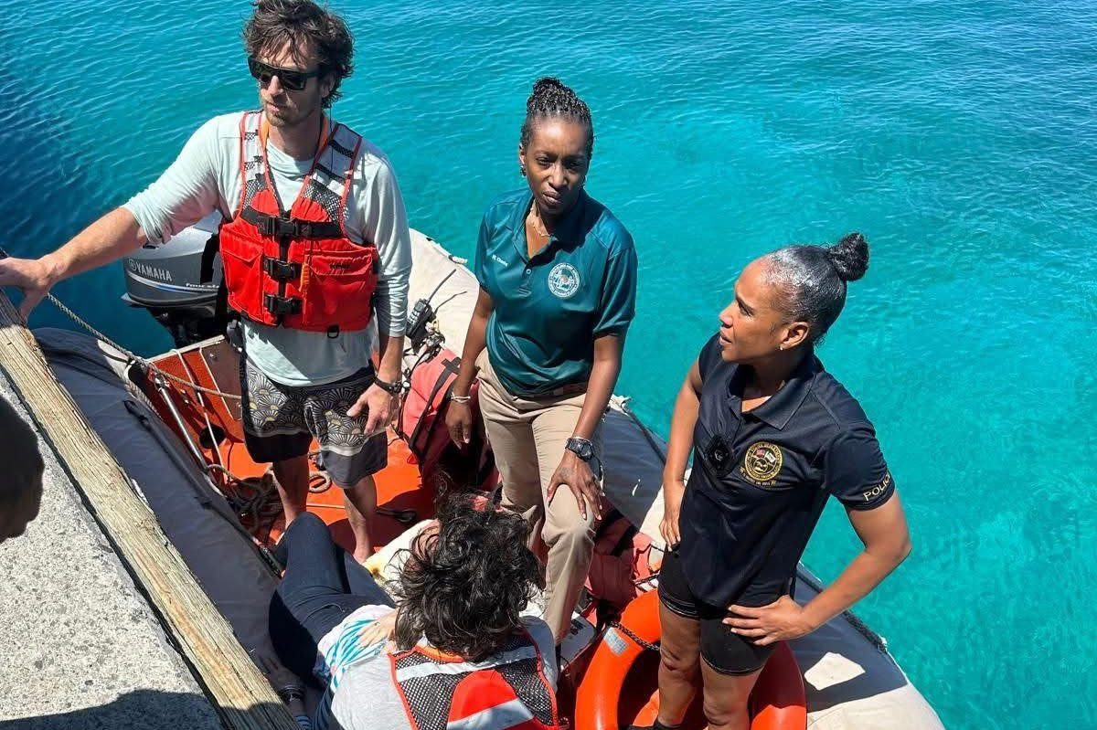 Cruise Passenger Rescued After Falling From St. Croix Pier | St. Thomas ...