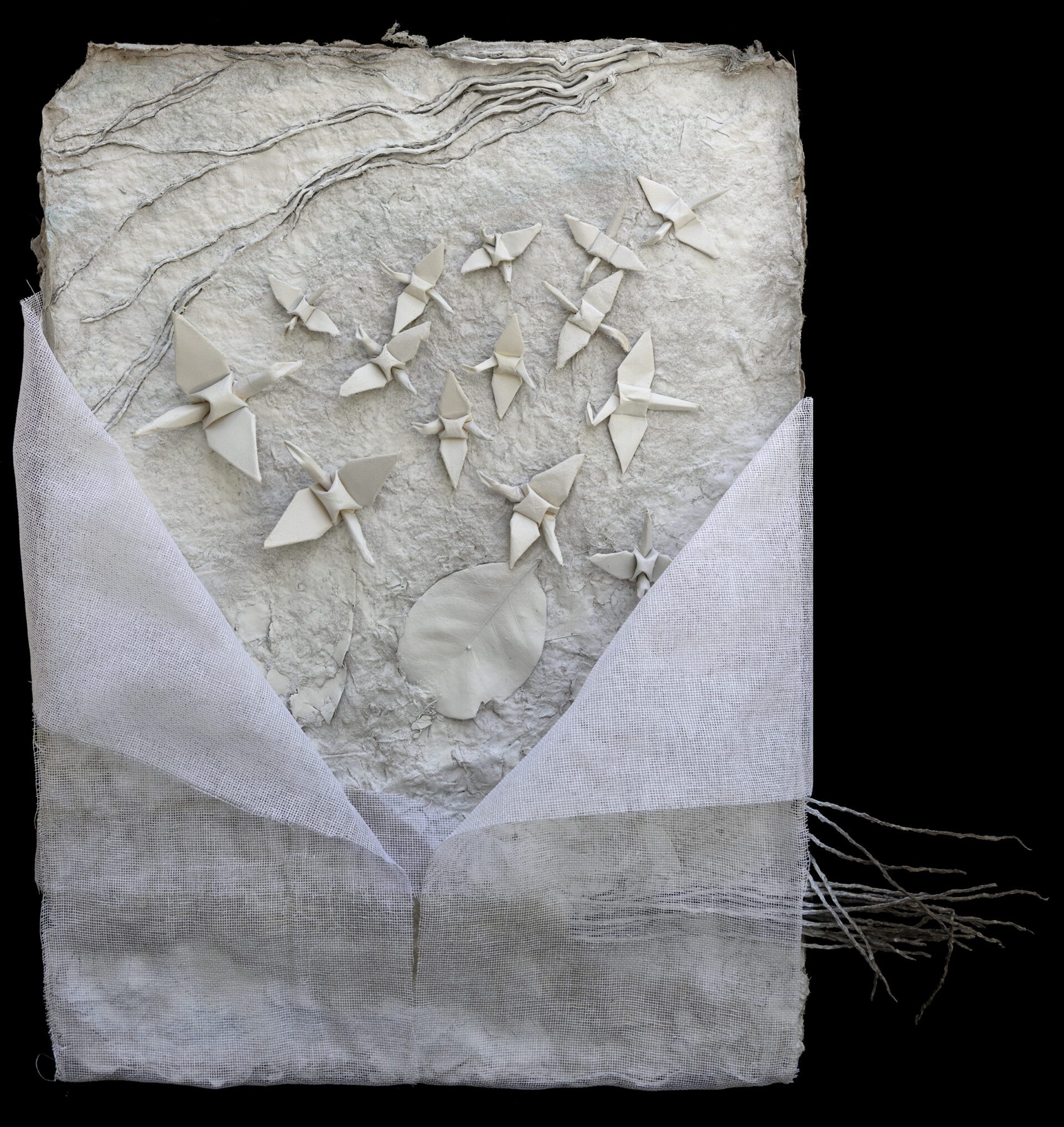 Shifting Roots, Fluid Horizons Exhibition | St. Thomas Source