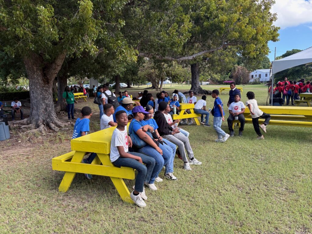 Students Experience Virgin Islands Traditions at Folklife Festival ...