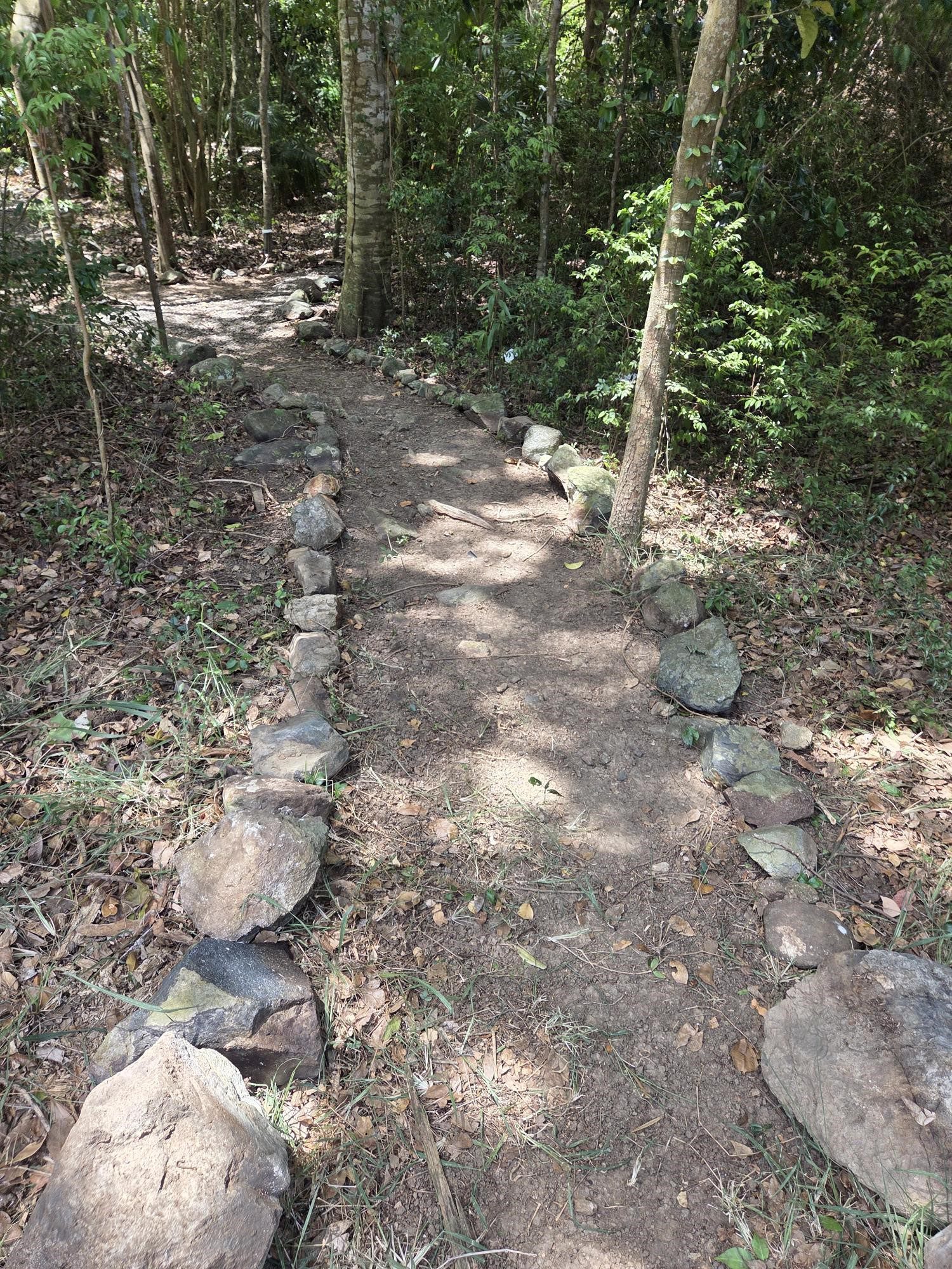 Fish Bay’s Native Plant Garden Cleaned Up | St. Thomas Source